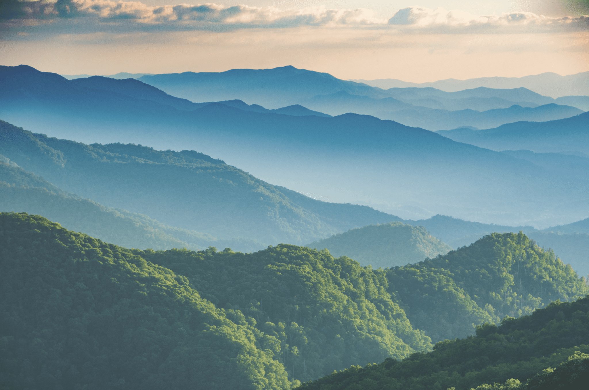 Our Five Favorite Spring Hikes in the NC Smokies - Visit Smokies