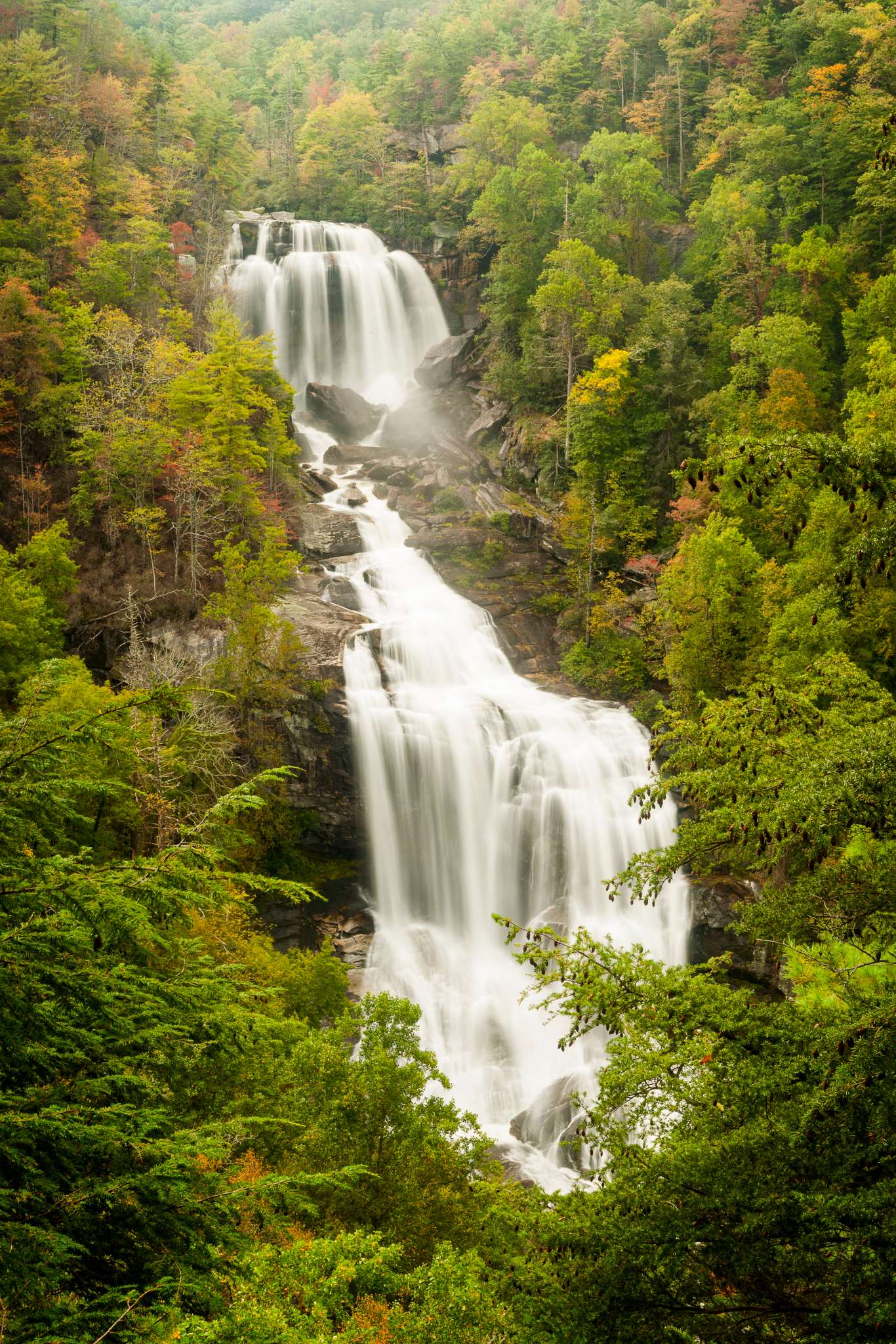 Our Five Favorite Spring Hikes in the NC Smokies - Visit Smokies