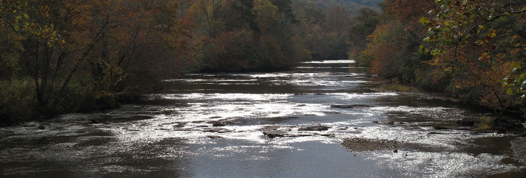 Tn River System Tennessee River Basin Network News March 2020