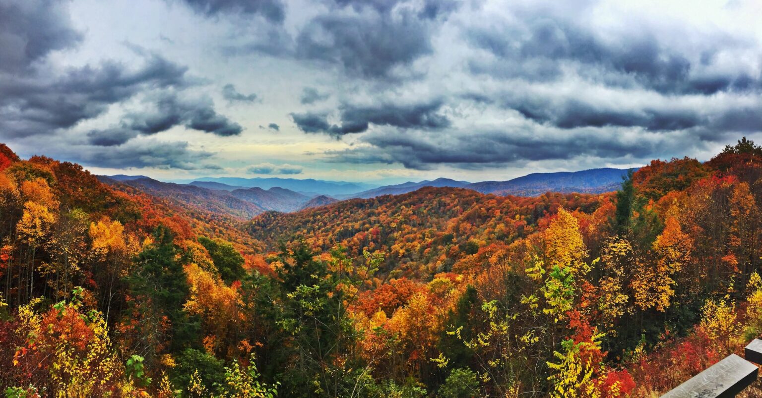 🍂 NC Smoky Mountains Fall Foliage Forecast 2025 - Visit Smokies