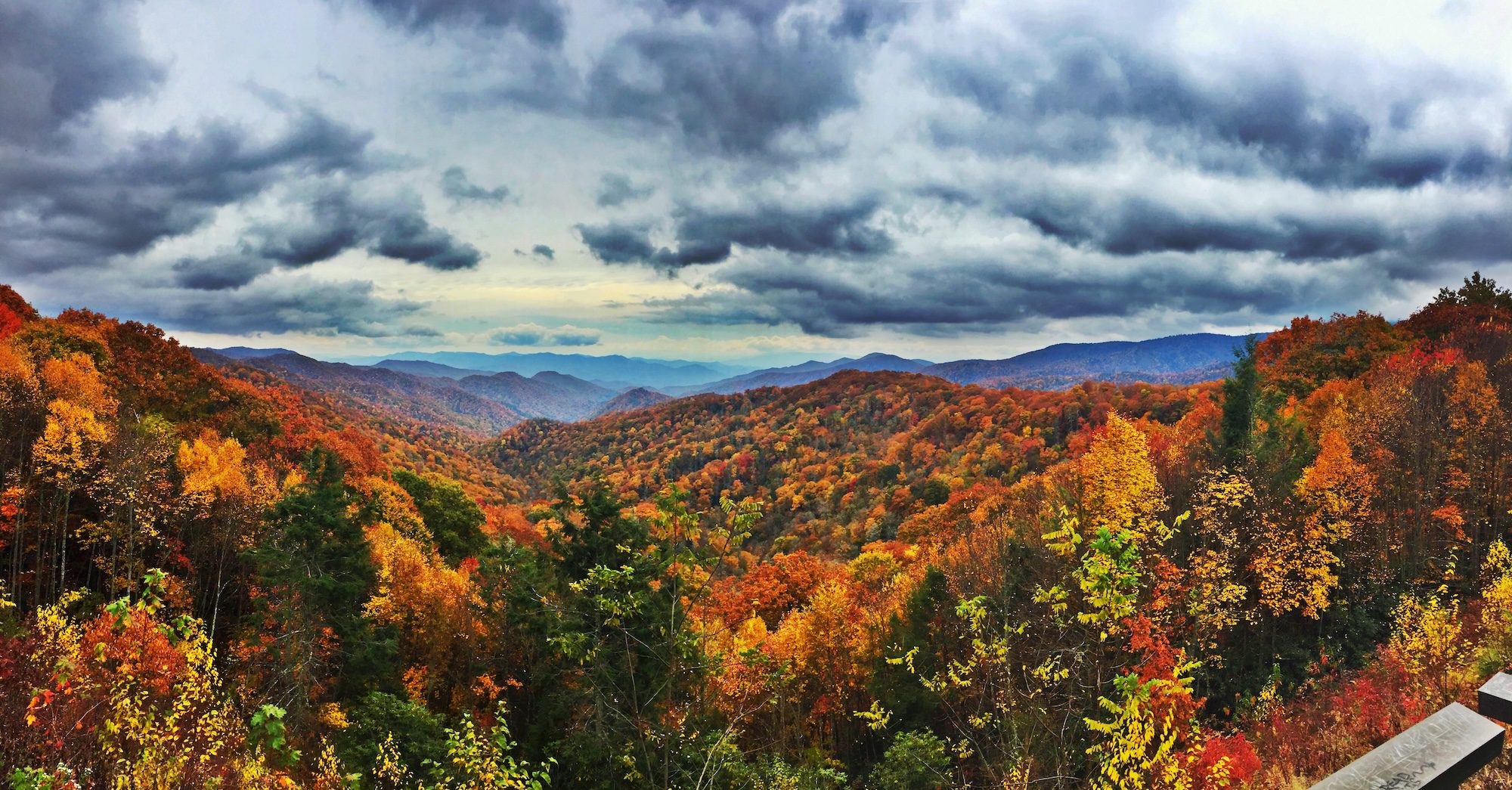 🍂 NC Smoky Mountains Fall Foliage Forecast 2025 - Visit Smokies